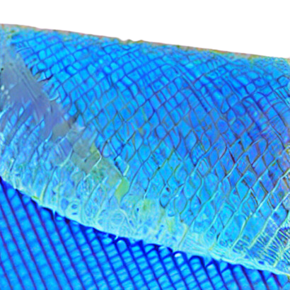 Debris Safety Netting SBN-427 Blue Premium